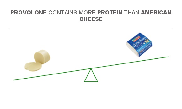 Compare Protein in Provolone to Protein in American cheese