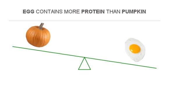 Compare Protein in Pumpkin to Protein in Egg