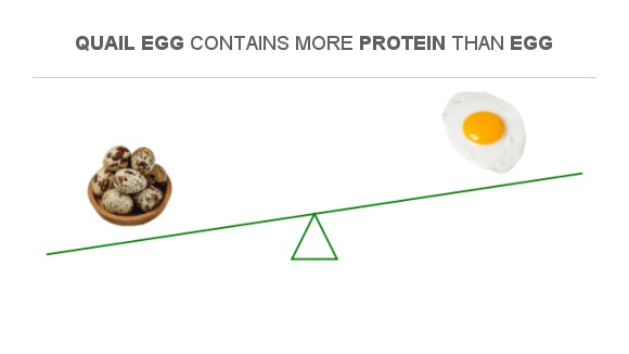 Compare Protein in Quail egg to Protein in Egg