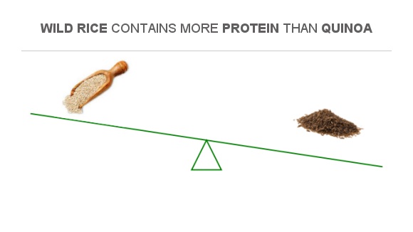 Compare Protein in Quinoa to Protein in Wild rice