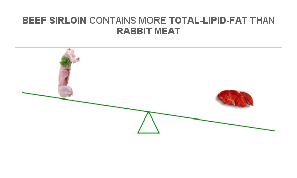Compare Fats in Rabbit Meat to Fats in Beef sirloin