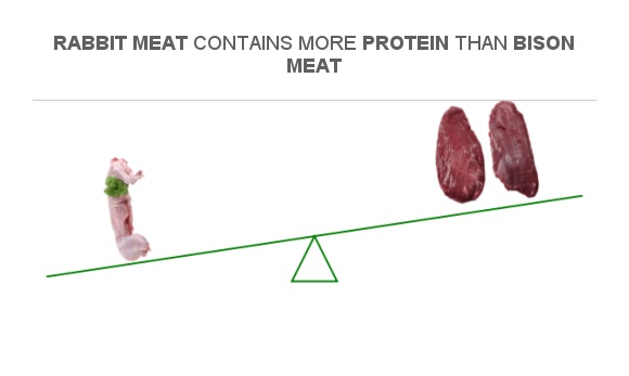Compare Protein in Rabbit Meat to Protein in Bison meat