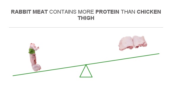 Compare Protein in Rabbit Meat to Protein in Chicken thigh
