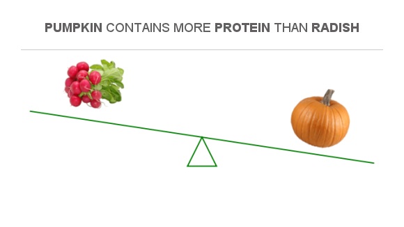Compare Protein in Radish to Protein in Pumpkin