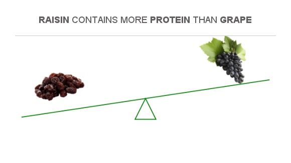 Compare Protein in Raisin to Protein in Grape