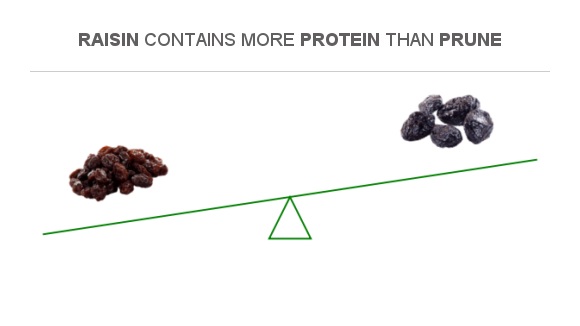 Compare Protein in Raisin to Protein in Prunes