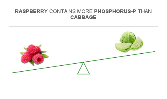 Compare Phosphorus in Raspberry to Phosphorus in Cabbage
