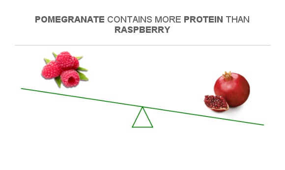 Compare Protein in Raspberry to Protein in Pomegranate