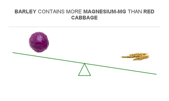 Compare Magnesium in Red cabbage to Magnesium in Barley