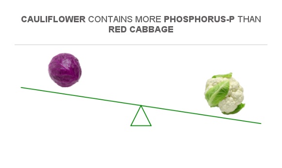 Compare Phosphorus in Red cabbage to Phosphorus in Cauliflower