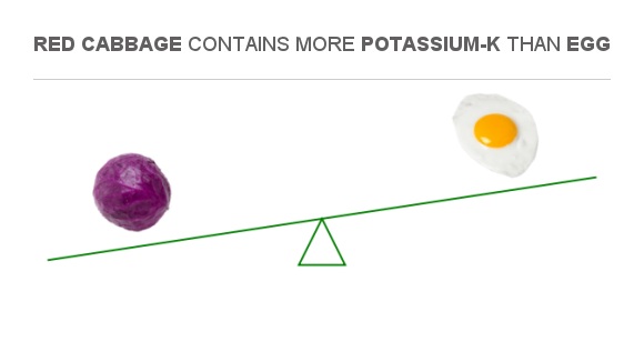 Compare Potassium in Red cabbage to Potassium in Egg