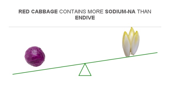 Compare Sodium in Red cabbage to Sodium in Endive