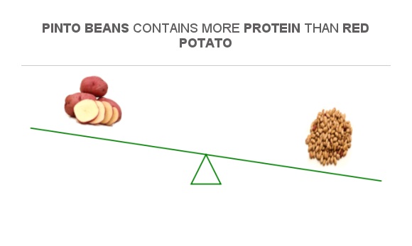 Compare Protein in Red potato to Protein in Pinto beans Compare Protein in Red potato to Protein in Pinto beans