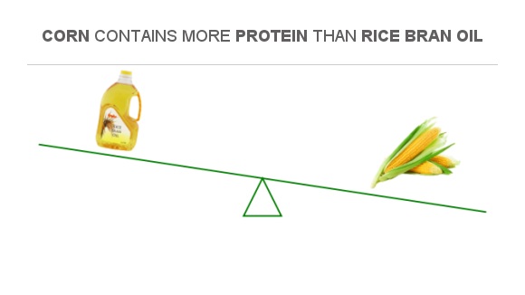 Compare Protein in Rice bran oil to Protein in Corn