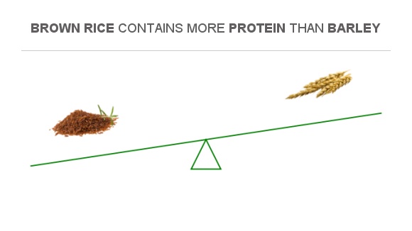 Compare Protein in Brown rice to Protein in Barley