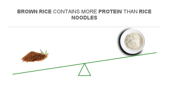 Compare Protein in Brown rice to Protein in Rice noodles
