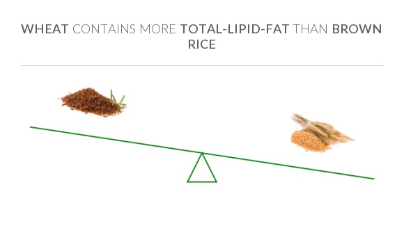 Compare Fats in Brown rice to Fats in Wheat