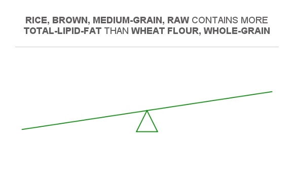 Compare Fats in Rice, brown, medium-grain, raw to Fats in Wheat flour ...