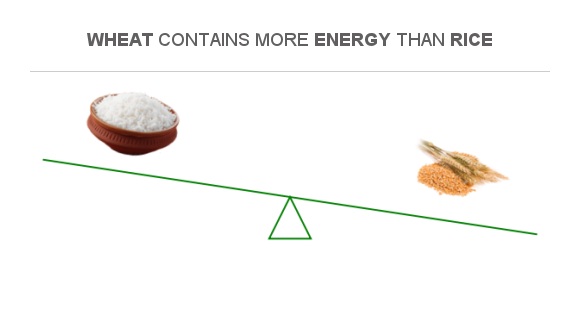 Compare Calories in Rice to Calories in Wheat