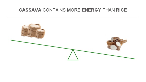 Compare Calories in Rice to Calories in Cassava