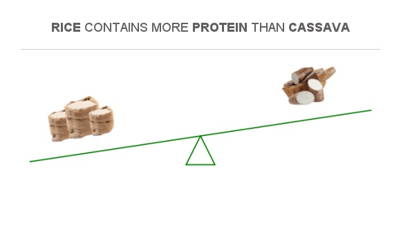 Compare Protein in Rice to Protein in Cassava