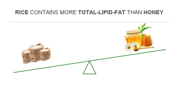 Compare Fats in Rice to Fats in Honey