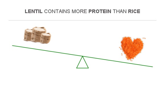 Compare Protein in Rice to Protein in Lentil