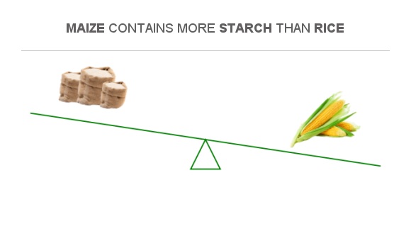 Compare Starch in Rice to Starch in Corn