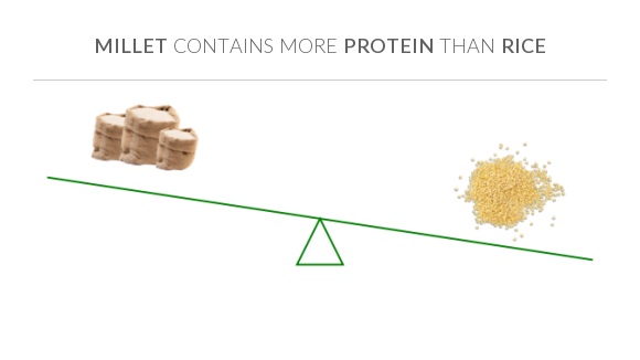 Compare Protein in Rice to Protein in Millet