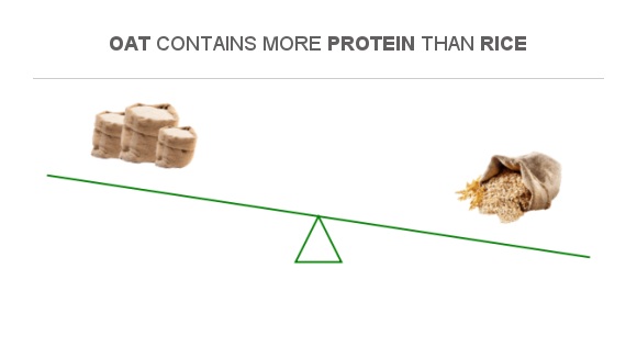 Compare Protein in Rice to Protein in Oats