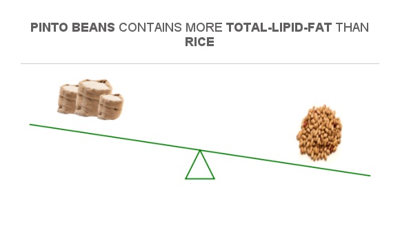 Compare Fats in Rice to Fats in Pinto beans