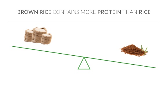 Compare Protein in Rice to Protein in Brown rice