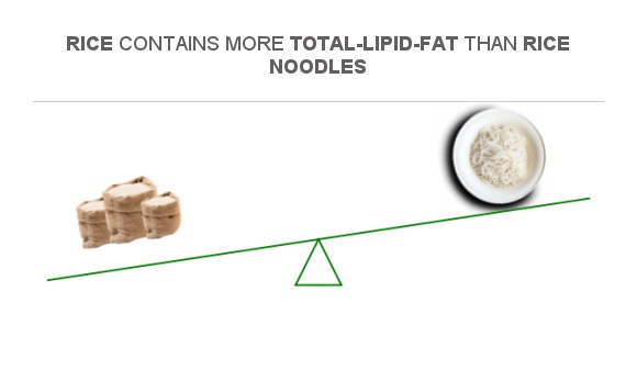 Compare Fats in Rice to Fats in Rice noodles