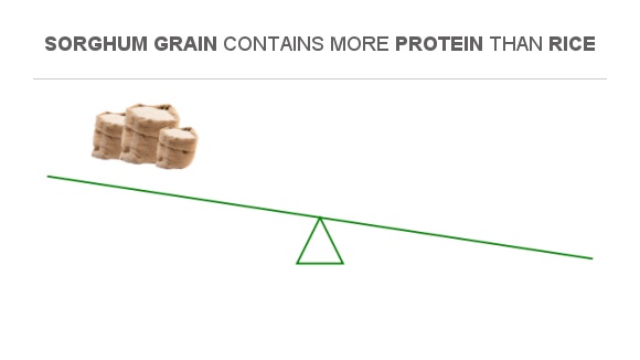 Compare Protein in Rice to Protein in Sorghum grain