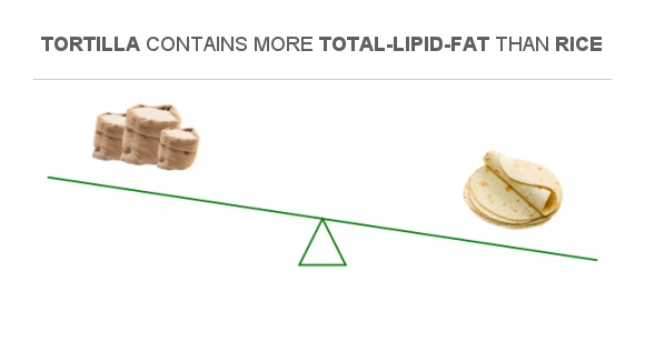 Compare Fats in Rice to Fats in Tortilla