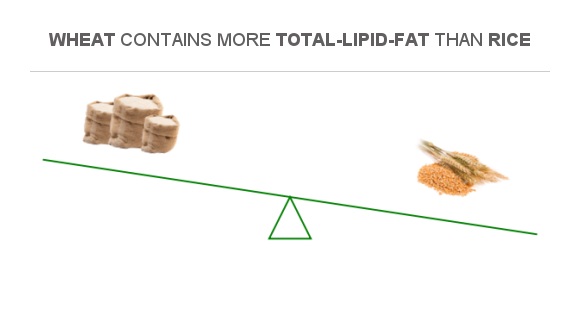 Compare Fats in Rice to Fats in Wheat