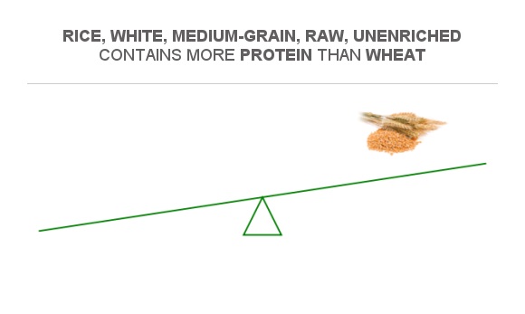 Compare Protein in Rice, white, medium-grain, raw, unenriched to ...
