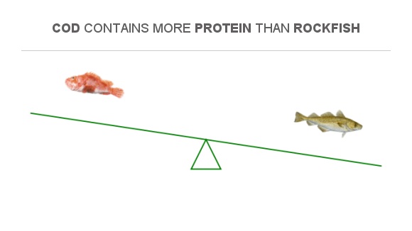 Compare Protein in Rockfish to Protein in Cod