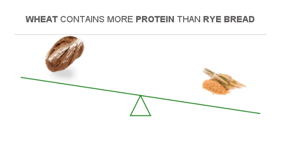 Compare Protein in Rye bread to Protein in Wheat
