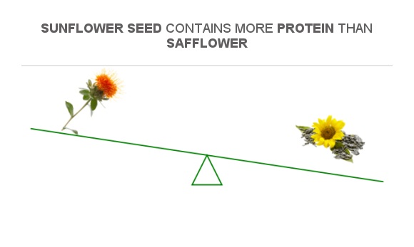 Compare Protein in Safflower to Protein in Sunflower seeds