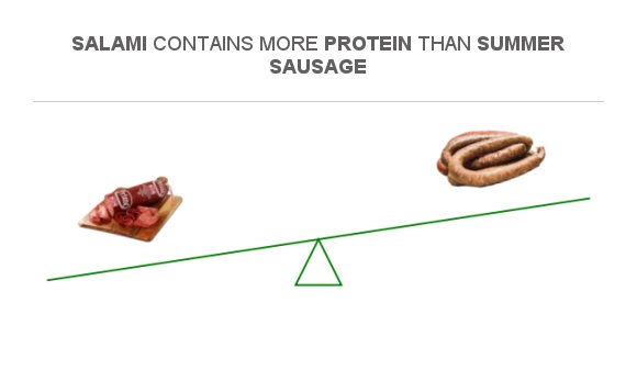 Compare Protein in Salami to Protein in Summer sausage