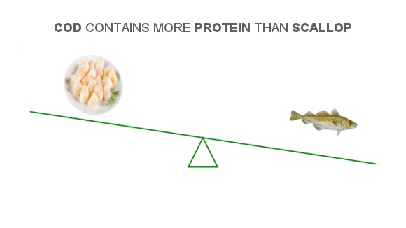 Compare Protein in Scallop to Protein in Cod