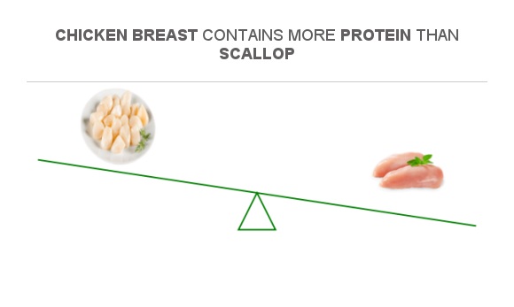 Compare Protein in Scallops to Protein in Chicken breast