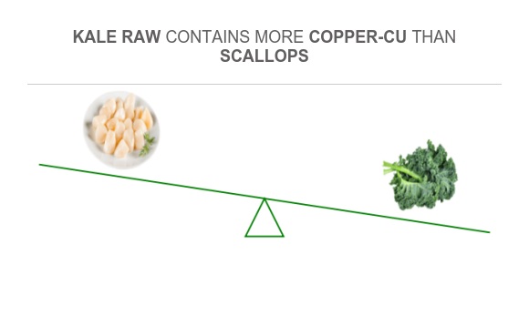 Compare Copper in Scallops to Copper in Kale raw