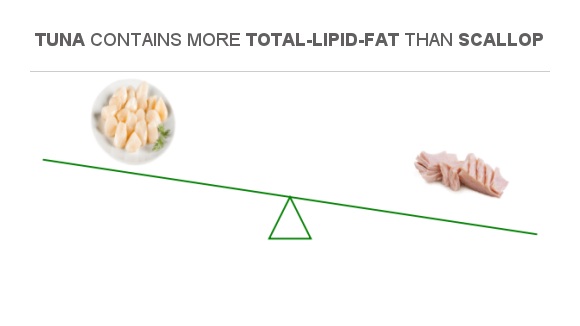Compare Fats in Scallop to Fats in Tuna