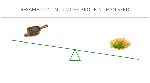 Compare Protein in Chia seeds to Protein in Sesame