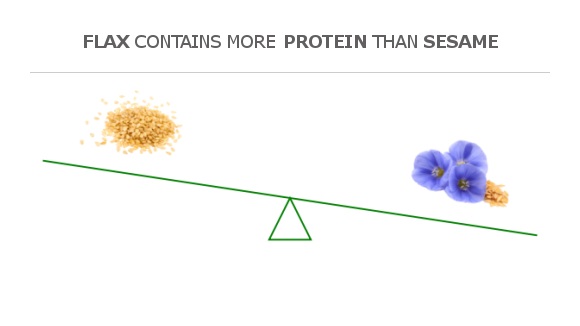 Compare Protein in Sesame to Protein in Flax seeds