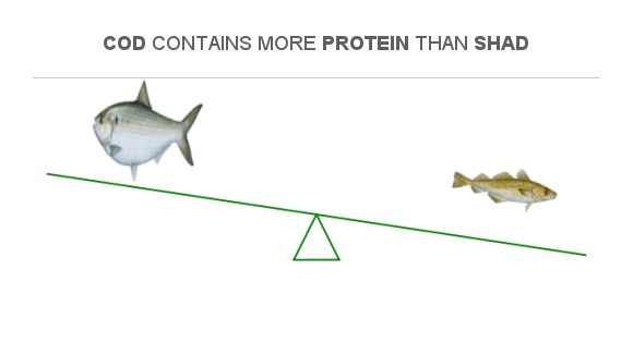 Compare Protein in Shad to Protein in Cod