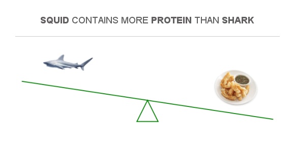 Compare Protein in Shark to Protein in Squid