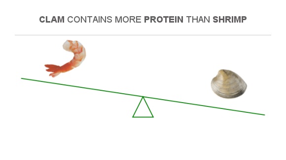 Compare Protein in Shrimp to Protein in Clam